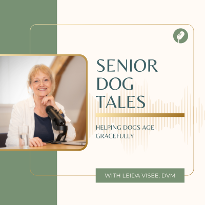 Senior Dog Tales | Overweight Senior Dogs: Health Risks and Solutions ...