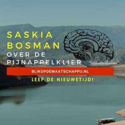 NieuweTijd Podcast | NieuweTijd Podcast - De pijnappelklier